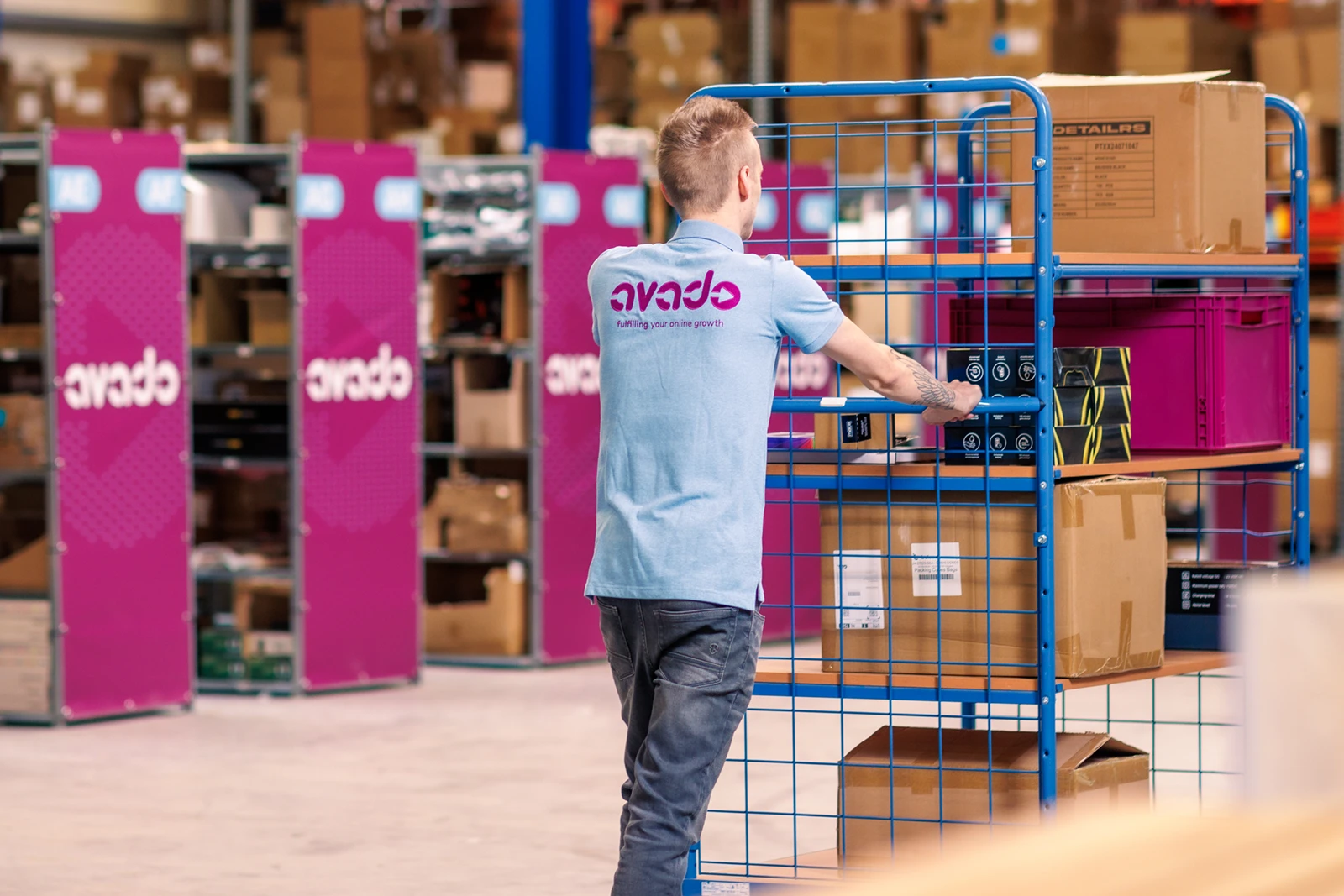 Veelgestelde vragen - Avado.co